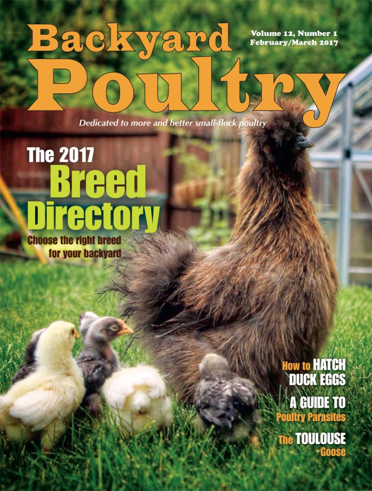 Backyard Poultry February/March 2017 - Backyard Poultry